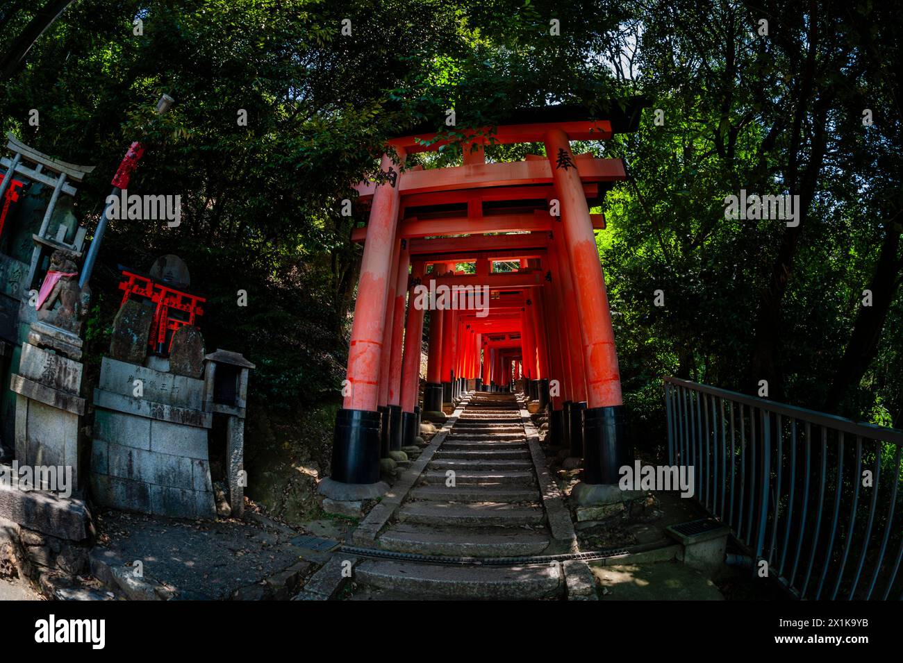 Woodland walk at Fushimi Inari Taisha, Fushimi-ku, Kyoto, Kyoto ...