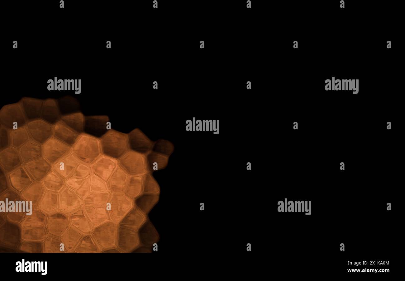 Brown Polygonal Shapes on black background. Honeycomb pattern Stock ...