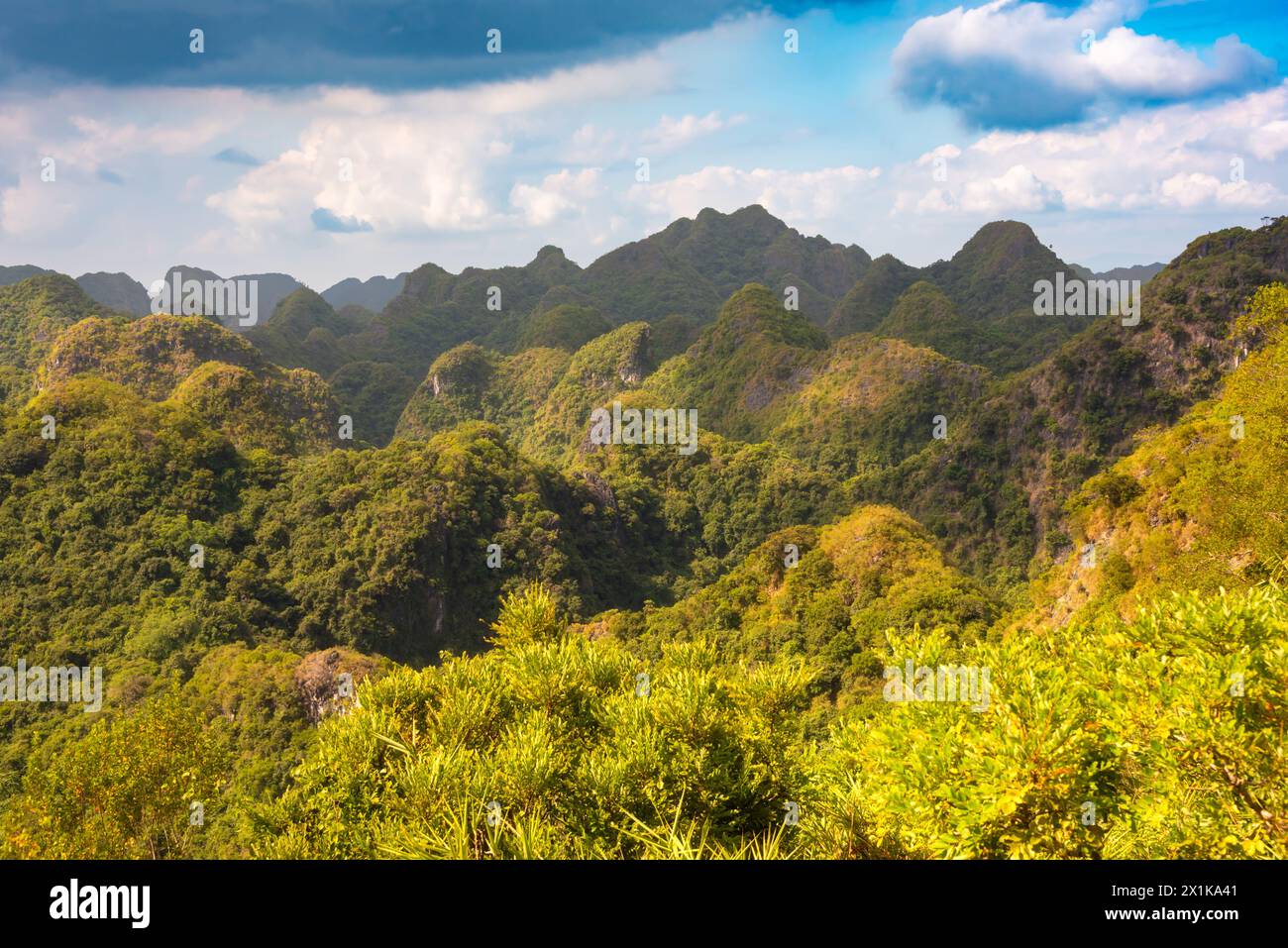 Cat Ba island in Vietnam. Green mountains with tropical rainforest ...