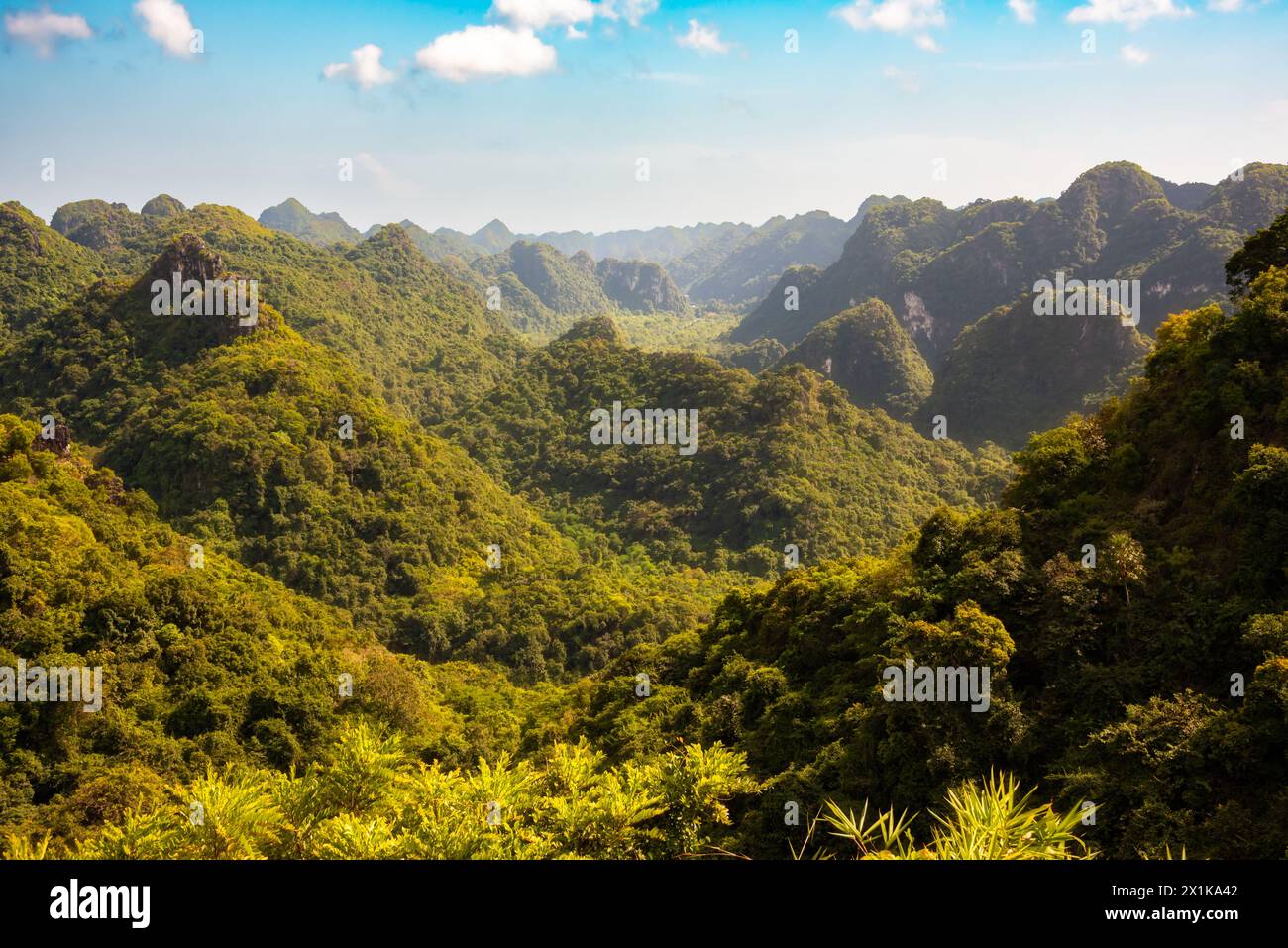 Cat Ba island in Vietnam. Green mountains with tropical rainforest ...