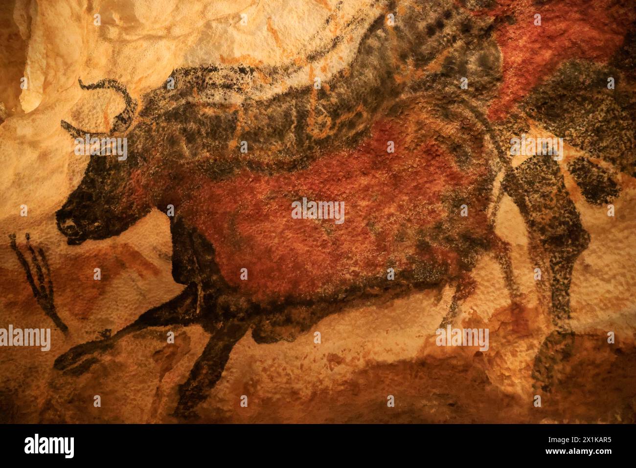 Lascaux cave paintings hi-res stock photography and images - Alamy