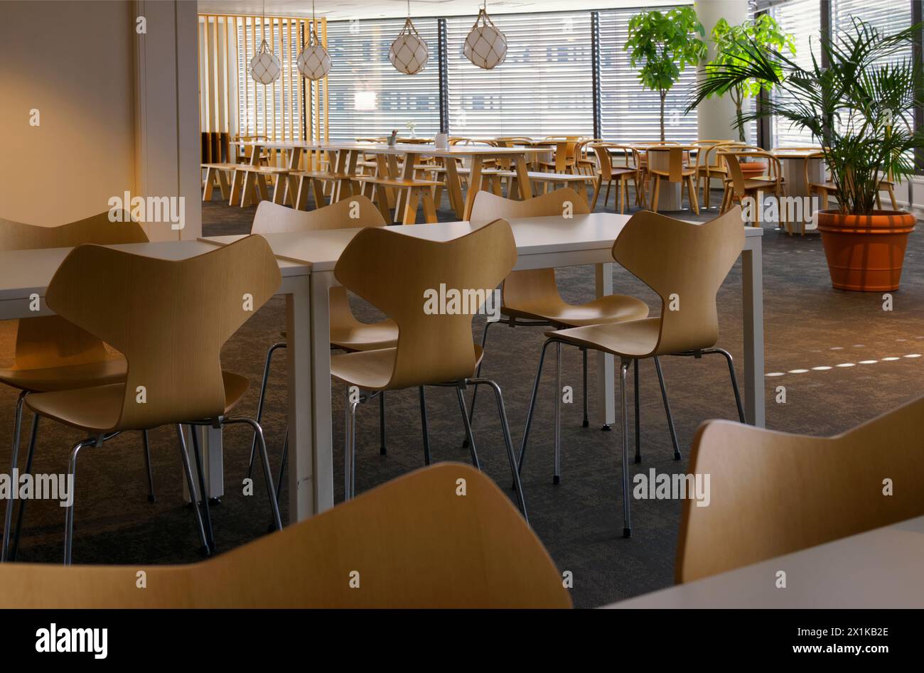 An empty cafeteria interior Stock Photo - Alamy
