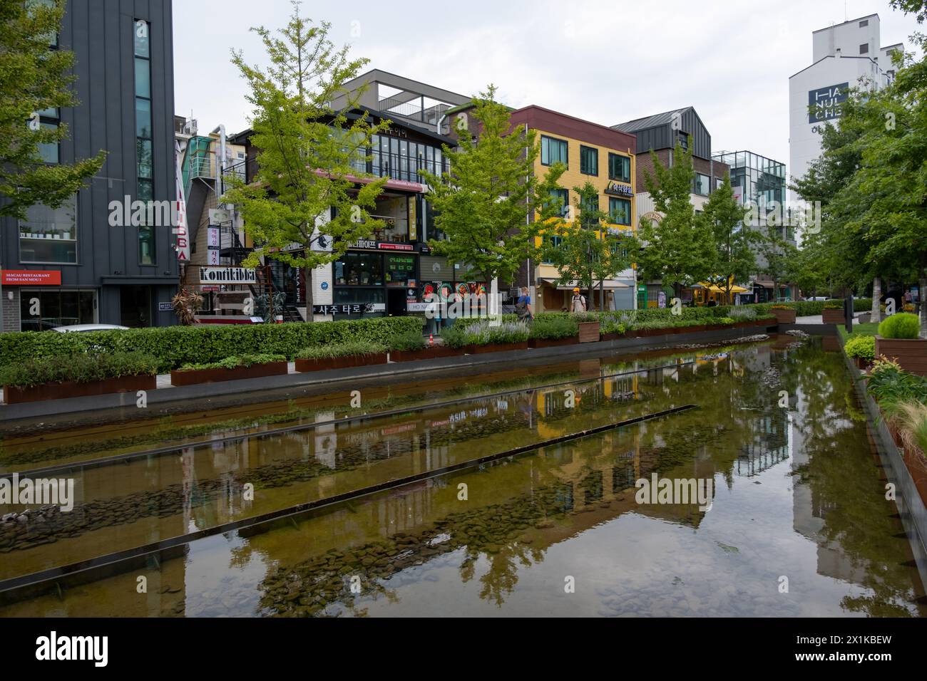 Seoul, South Korea - 4 September 2023: Tree and stream in Hongik park ...