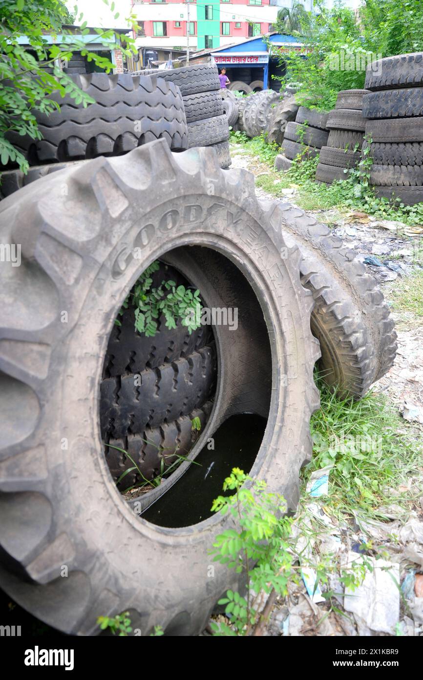 Old tire-tubes are collected from different parts of the capital. From ...