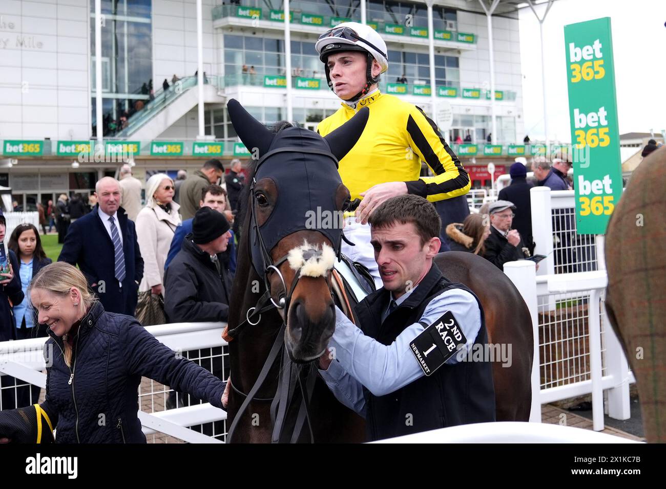 Ambiente Friendly ridden by Callum Shepherd before the Bet365 Feilden ...