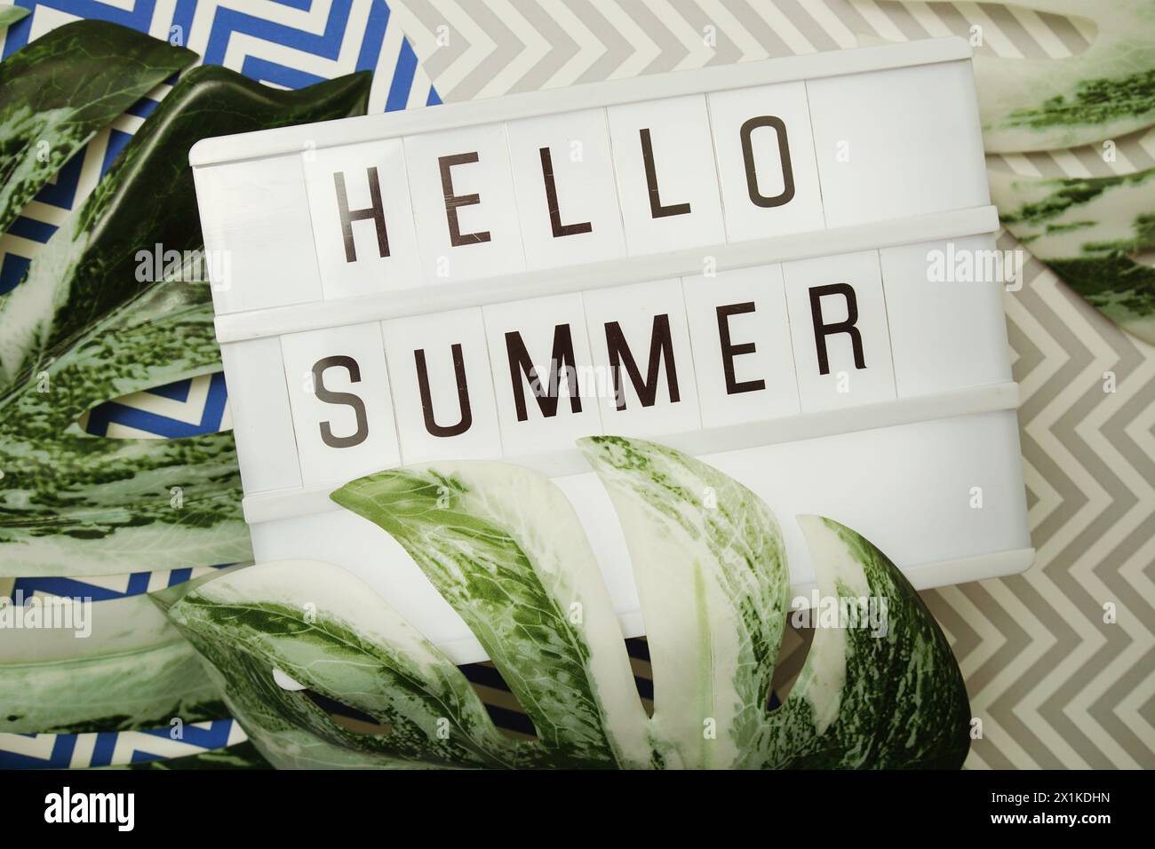 Hello Summer word in lightbox with Monstera Leaves decoration Stock ...