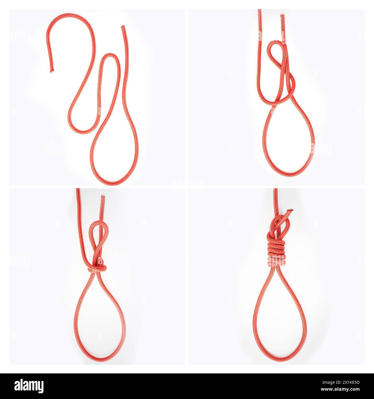 Knot, noose or how to tie ropes on white background in studio for ...