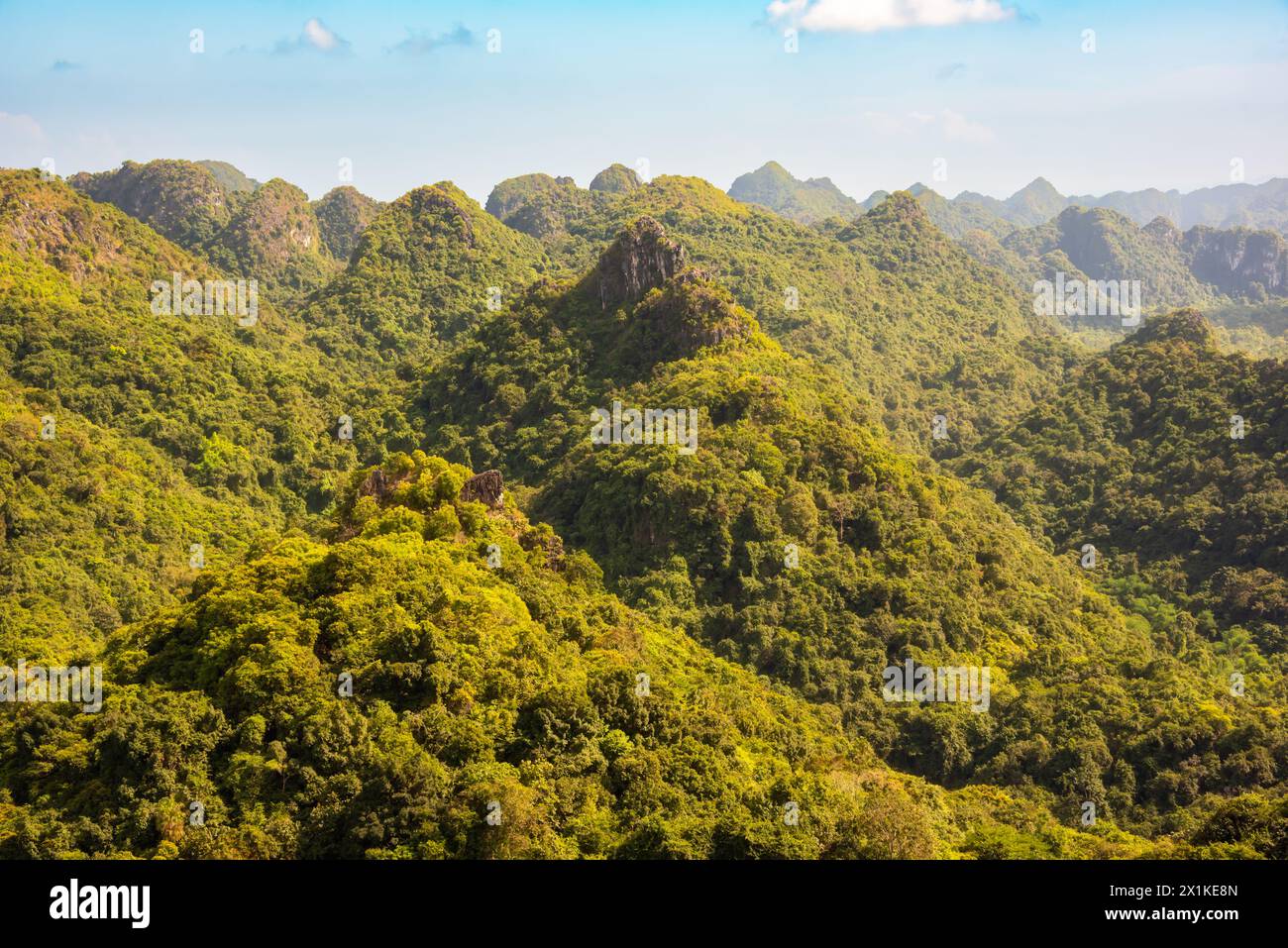 Cat Ba island in Vietnam. Green mountains with tropical rainforest ...