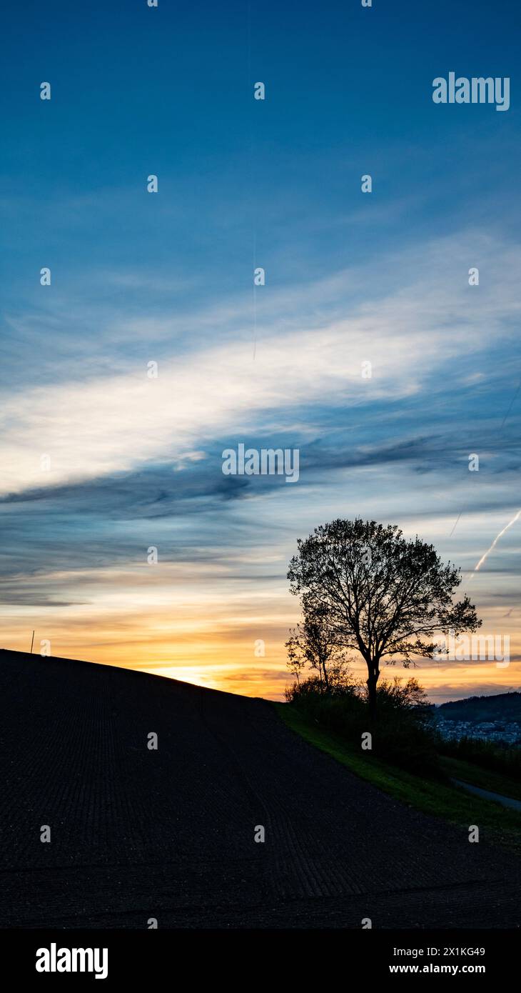 Sunset over a peaceful countryside road, with the sky painted in warm ...