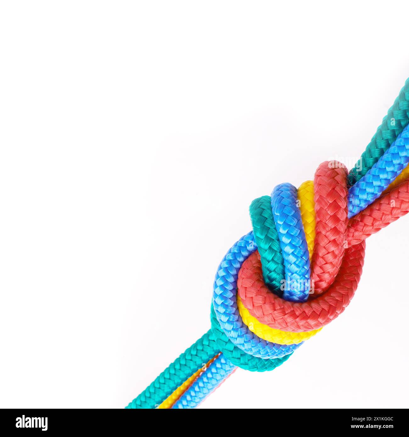 Colourful, rope and knot together in studio for tying with pride, unity ...