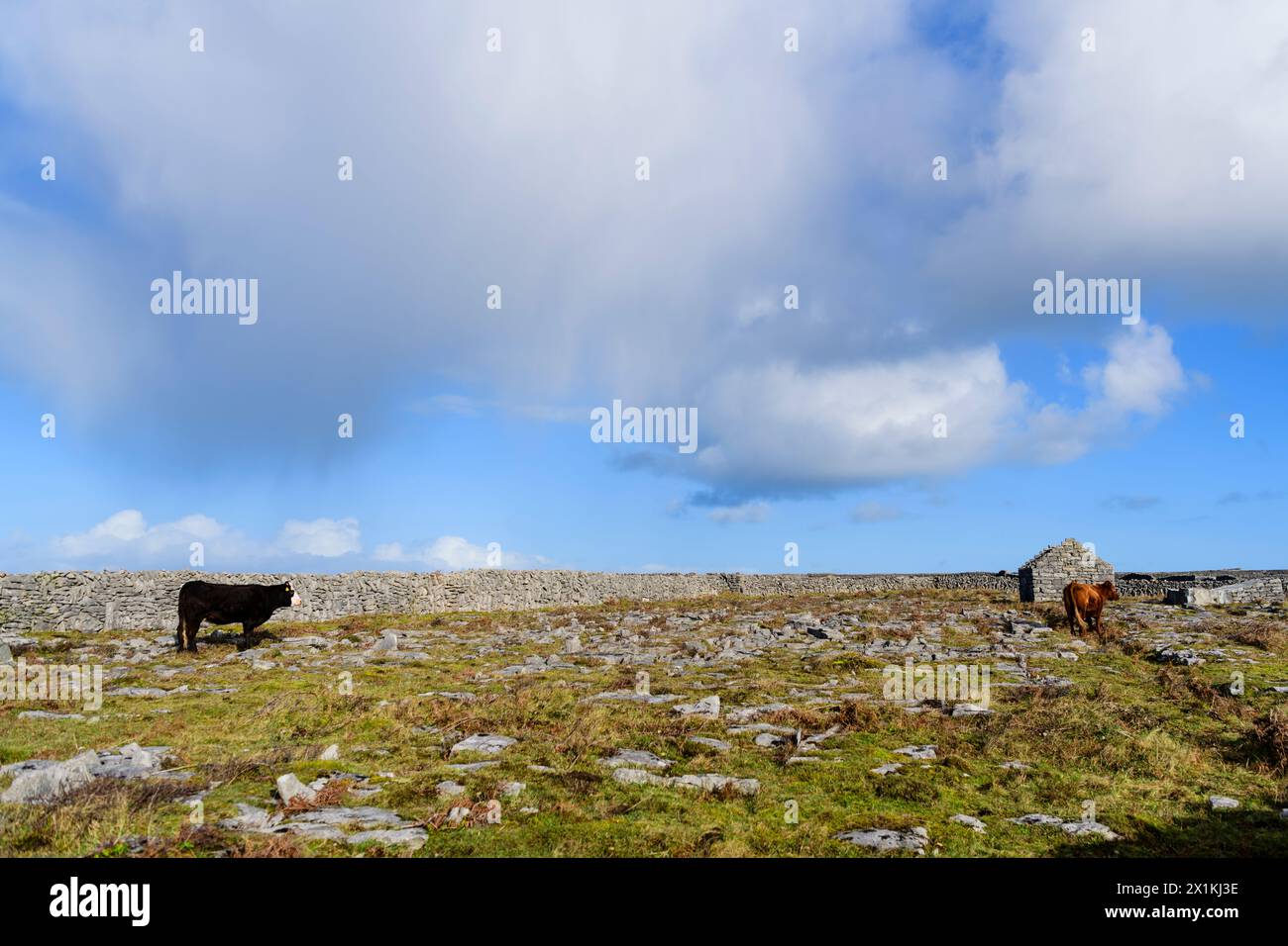 Inis Meain (Aran Island Stock Photo - Alamy