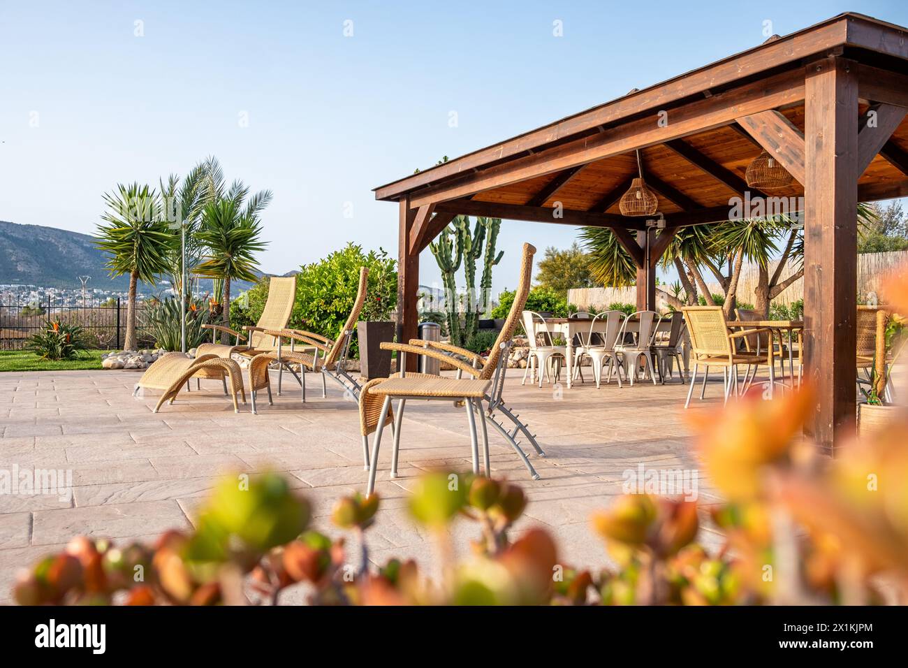 Patio view of wooden pergola and modern chairs, blurred foreground of ...
