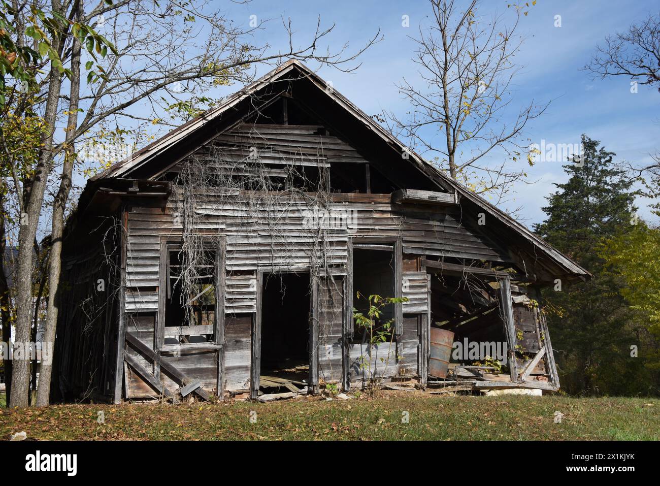 Derelict and abandoned, this wood framed house is rotting and in ruins ...