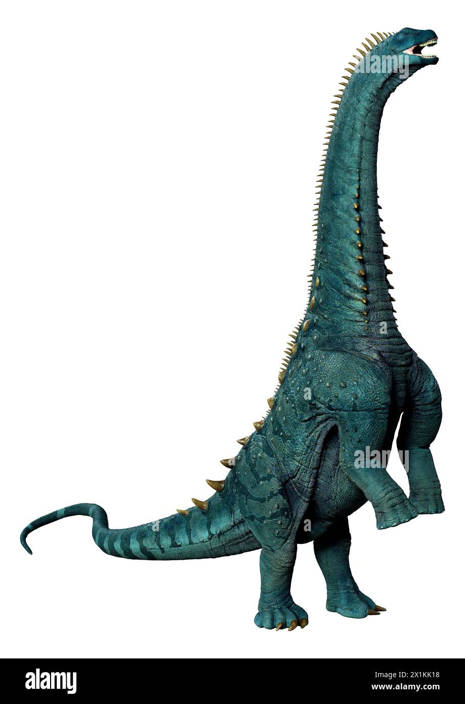 3D rendering of a dinosaur Alamosaurus isolated on white background ...