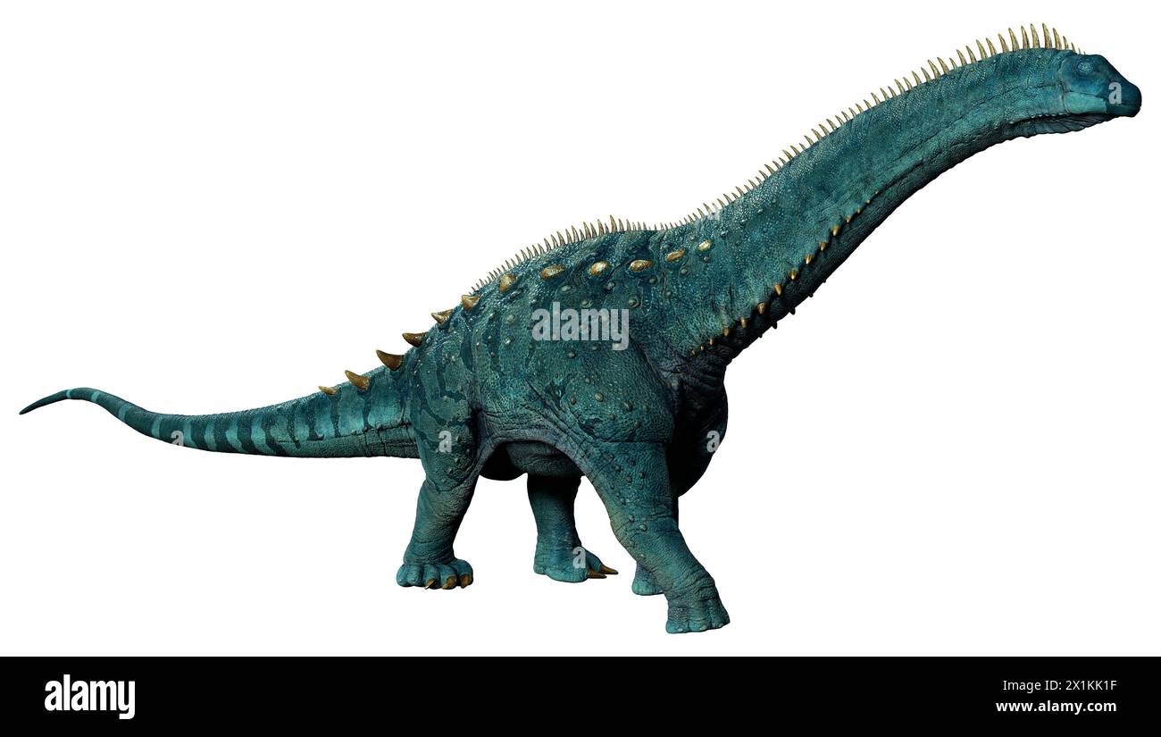 3D rendering of a dinosaur Alamosaurus isolated on white background ...
