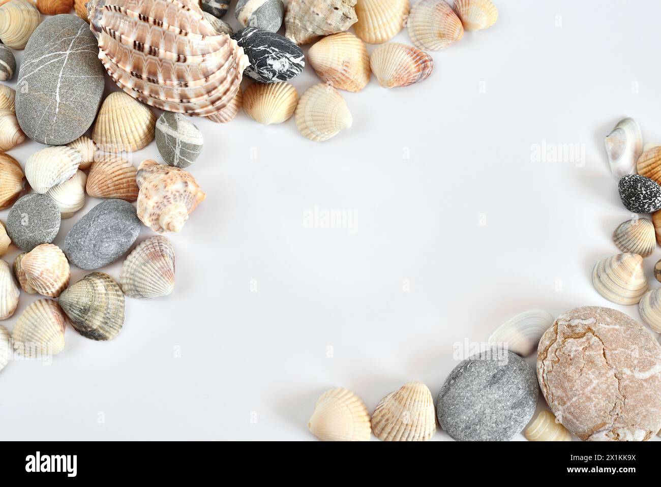 Various shells and pebbles on light background Stock Photo - Alamy