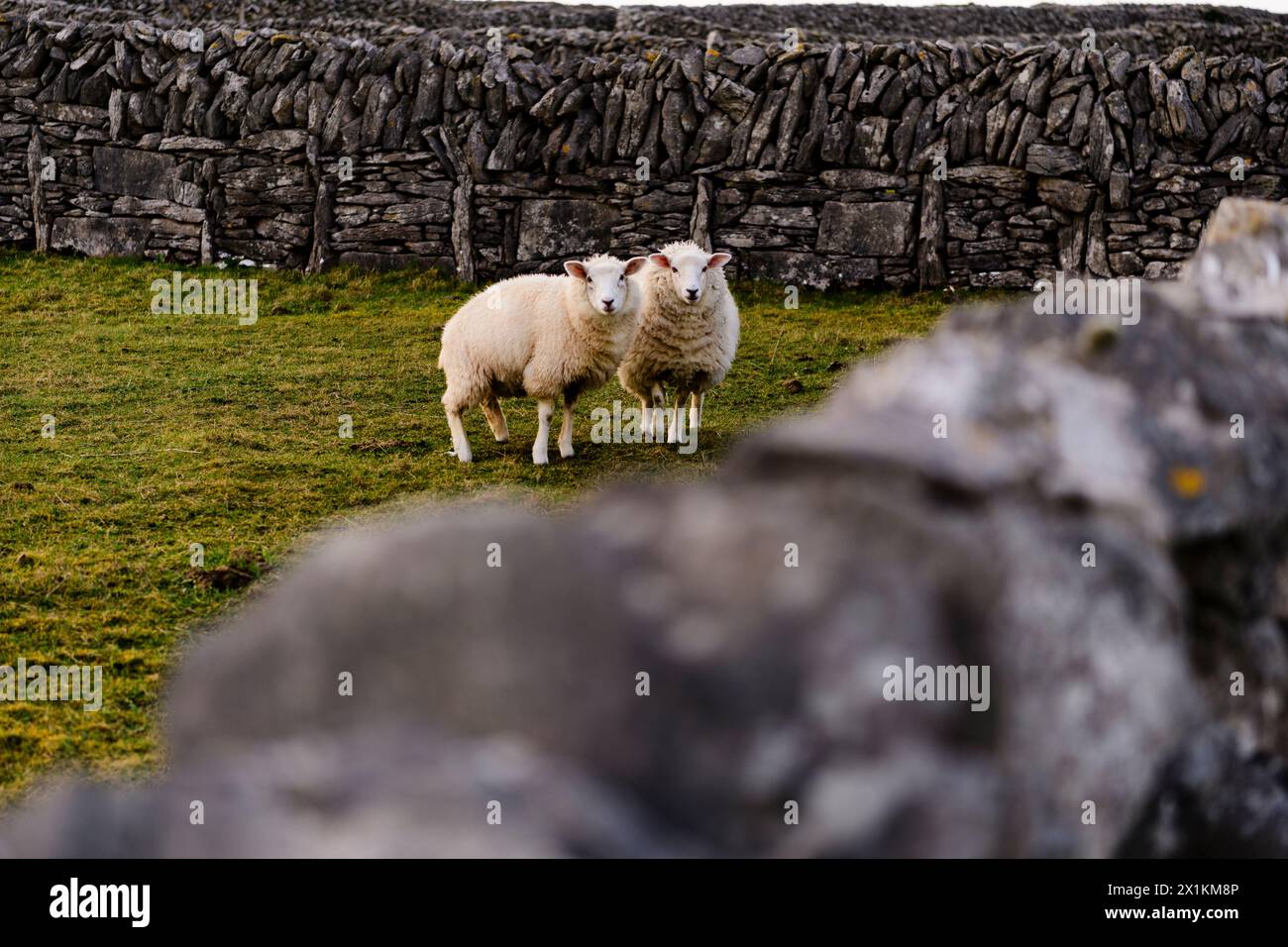 Inis Meain (Aran Island Stock Photo - Alamy