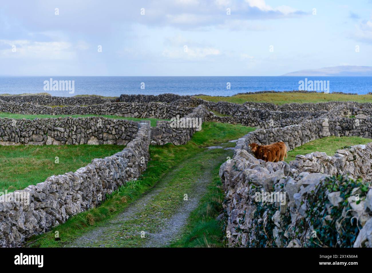 Inis Meain (Aran Island Stock Photo - Alamy