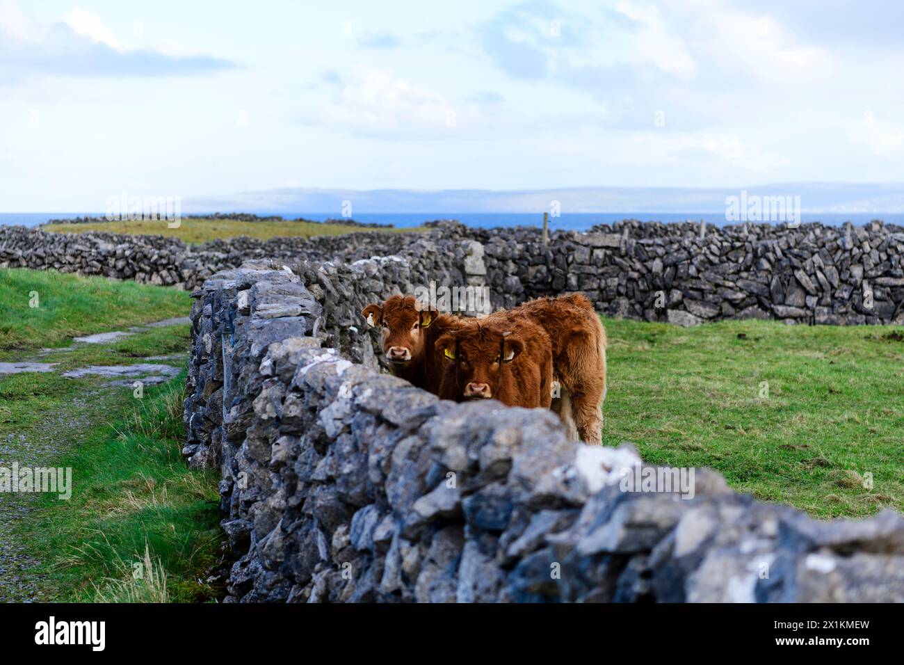 Inis Meain (Aran Island Stock Photo - Alamy