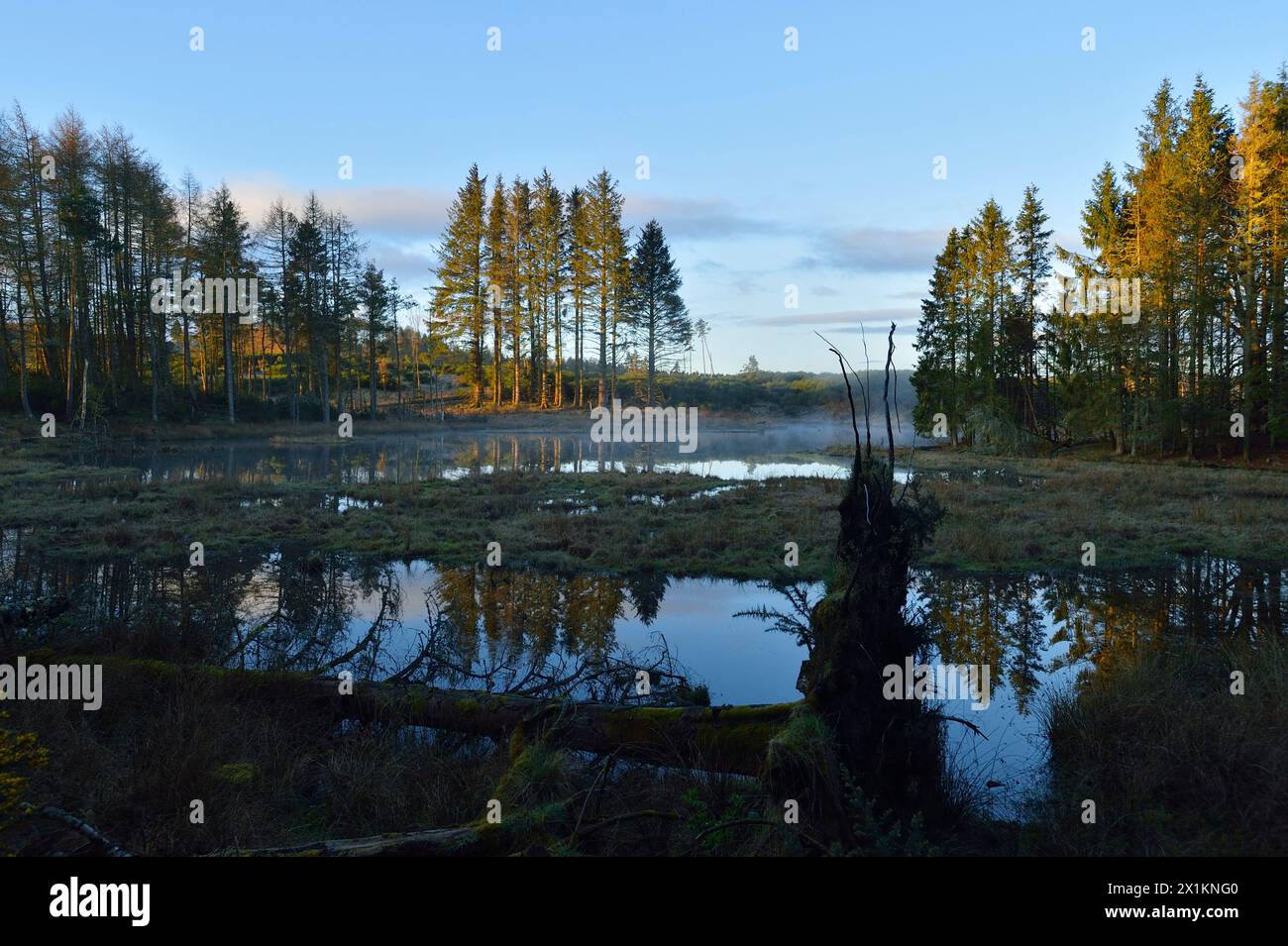 Loch created by beavers hi-res stock photography and images - Alamy