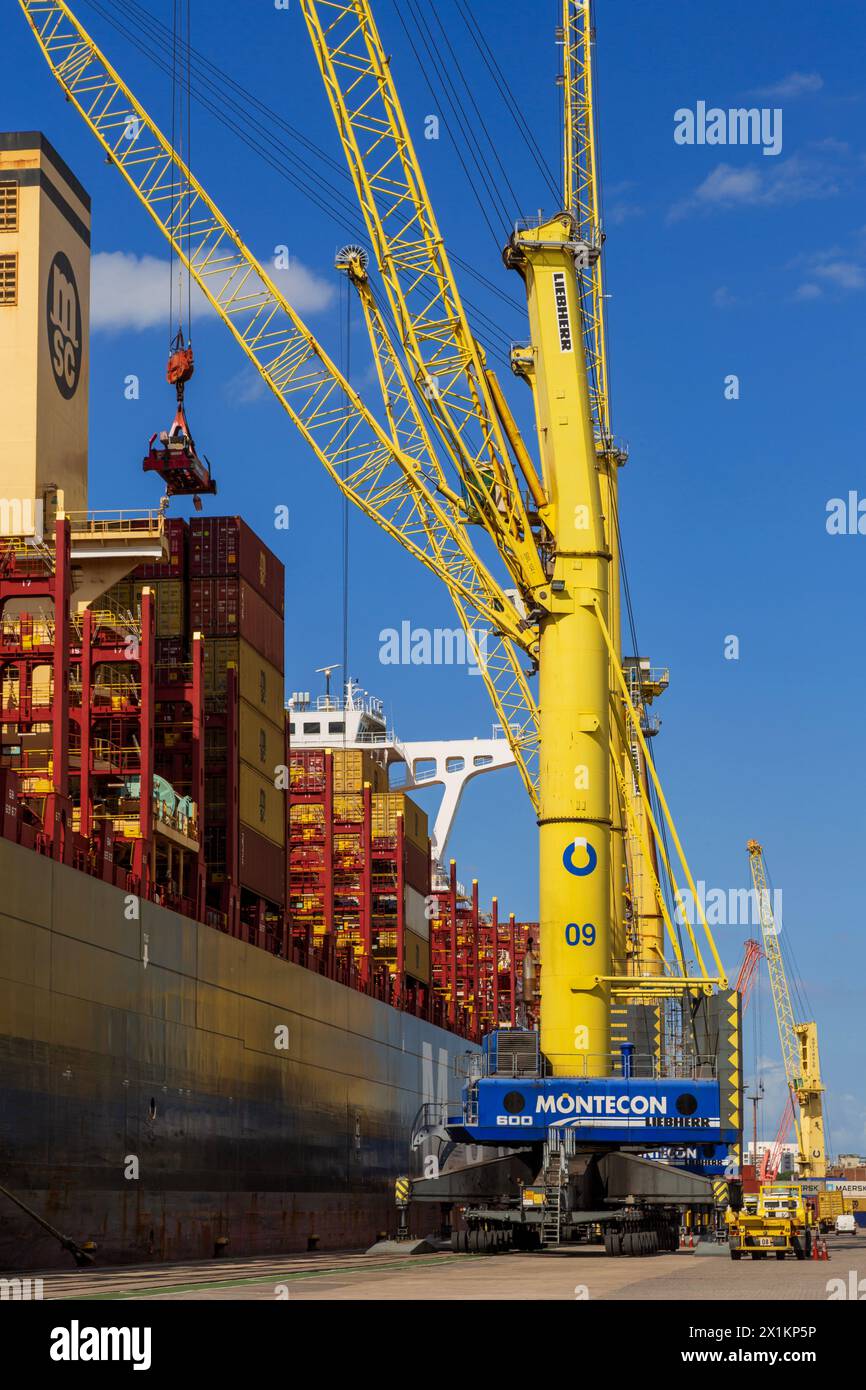 Container ship MSC Carole, Port of Montevideo, Uruguay, South America ...