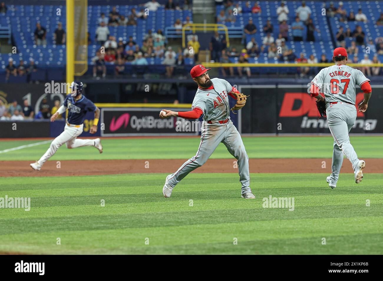 St. Petersburg, FL: Los Angeles Angels third base Anthony Rendon (6 ...