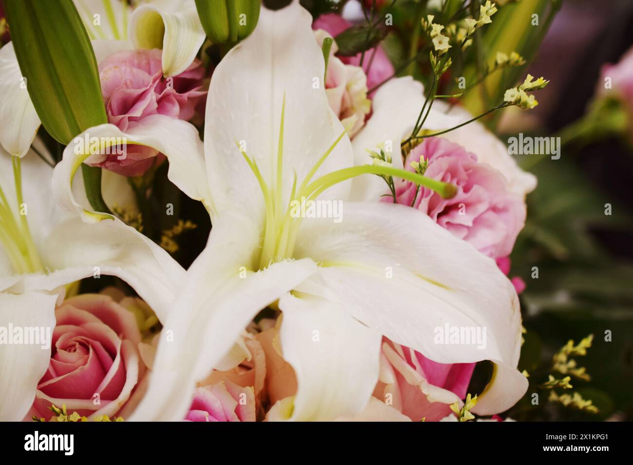 Lily and Pink roses flower bouquet Stock Photo - Alamy