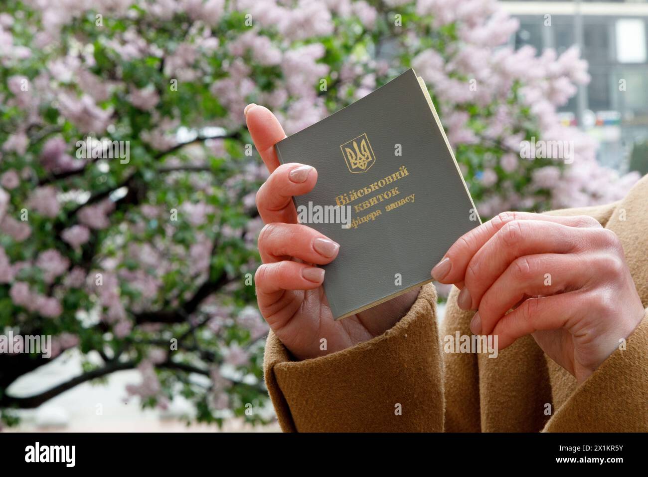 KYIV, UKRAINE - APRIL 17, 2024 - A woman holds a Ukrainian military ID ...