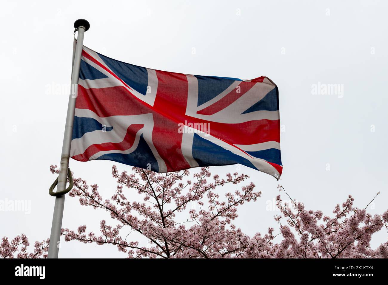 National flag of the United Kingdom is the Union Jack, also known as ...