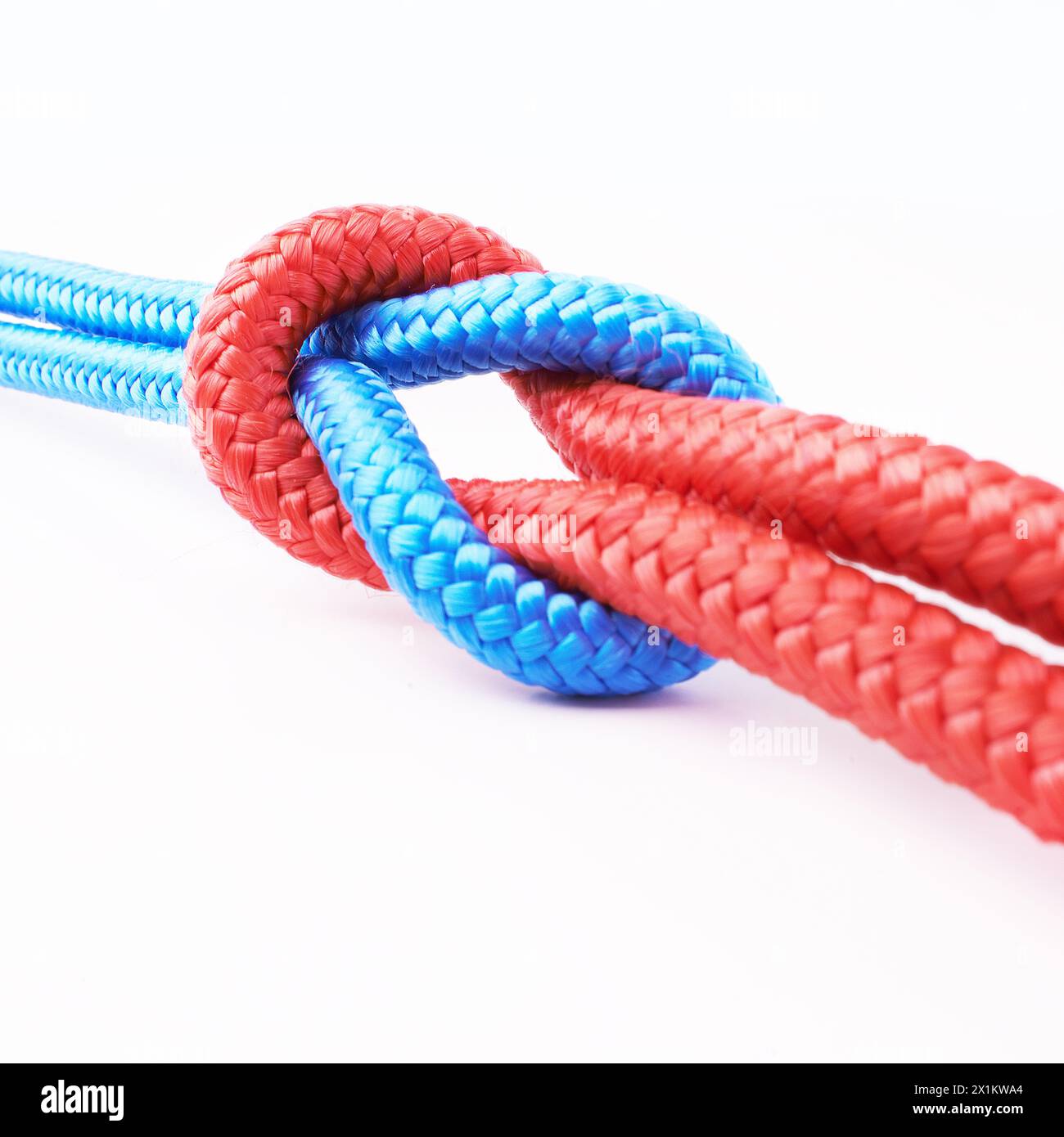 Rope, connection or loop together in white studio background for ...