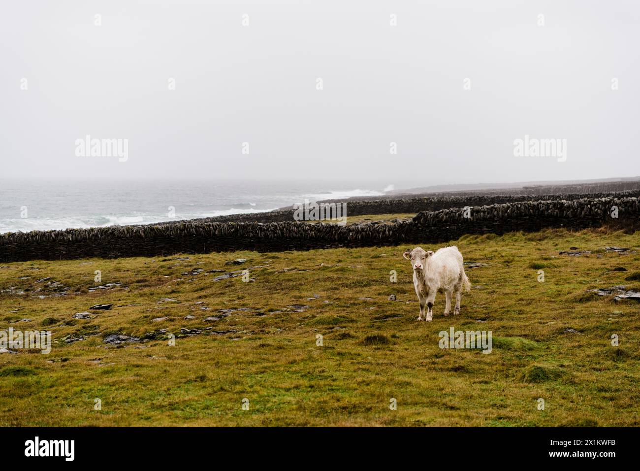 Inis Meain (Aran Island Stock Photo - Alamy