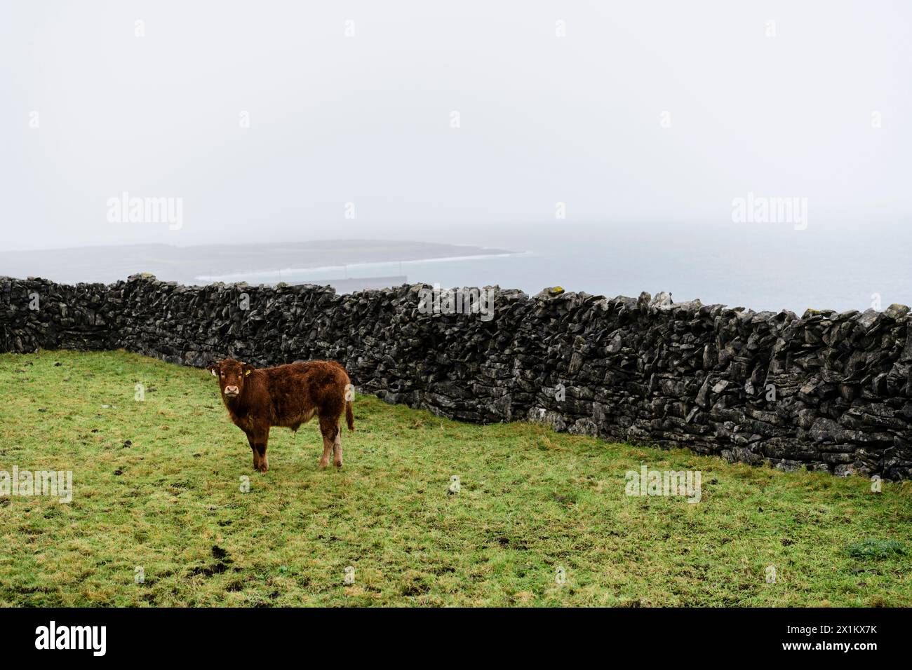 Inis Meain (Aran Island Stock Photo - Alamy
