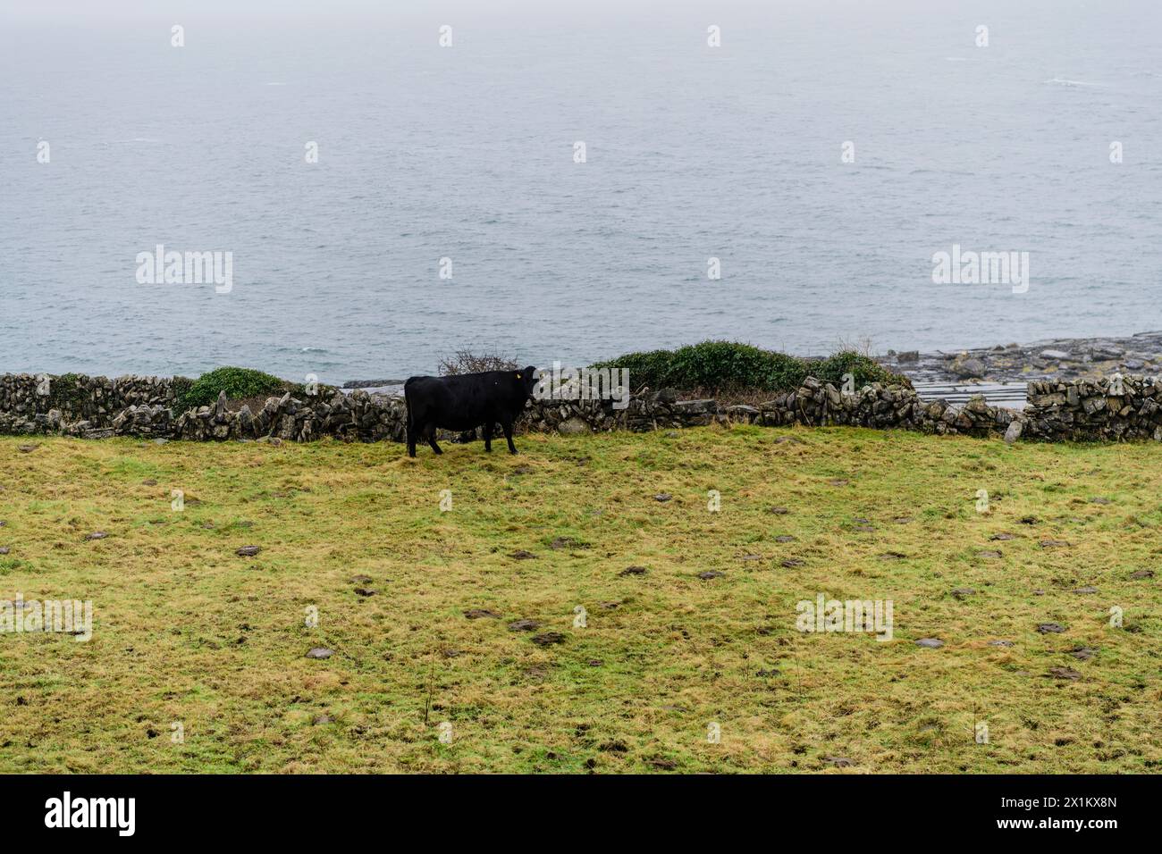 Inis Meain (Aran Island Stock Photo - Alamy