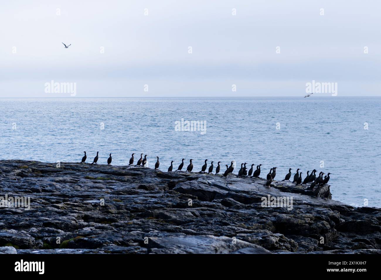 Inis Meain (Aran Island Stock Photo - Alamy