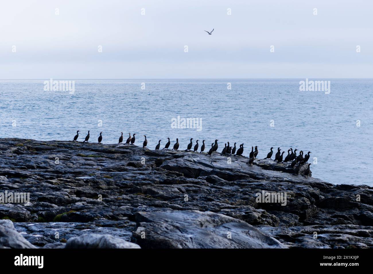 Inis Meain (Aran Island Stock Photo - Alamy