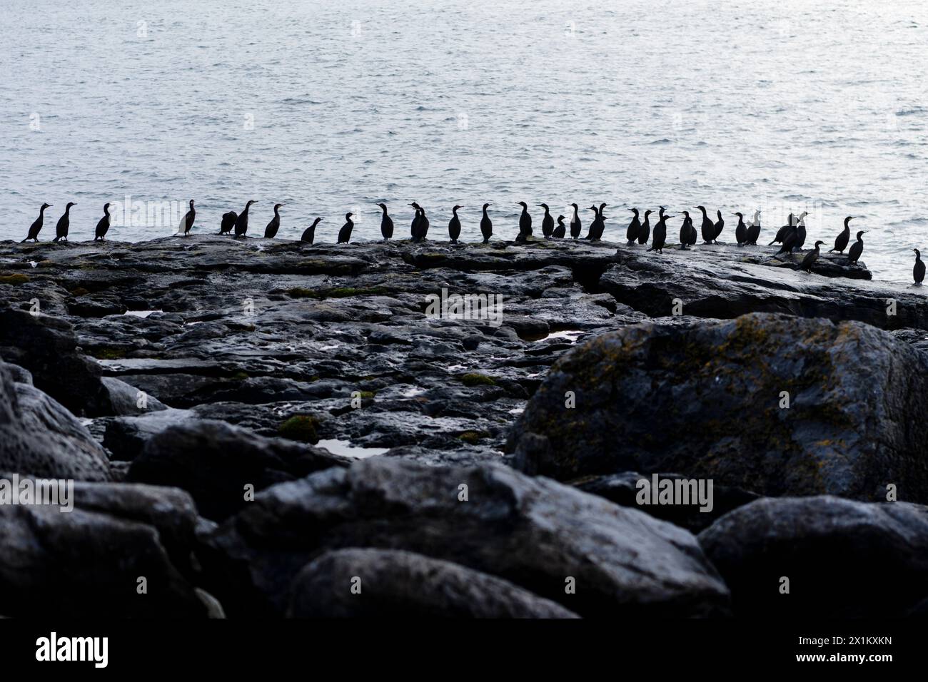 Inis Meain (Aran Island Stock Photo - Alamy