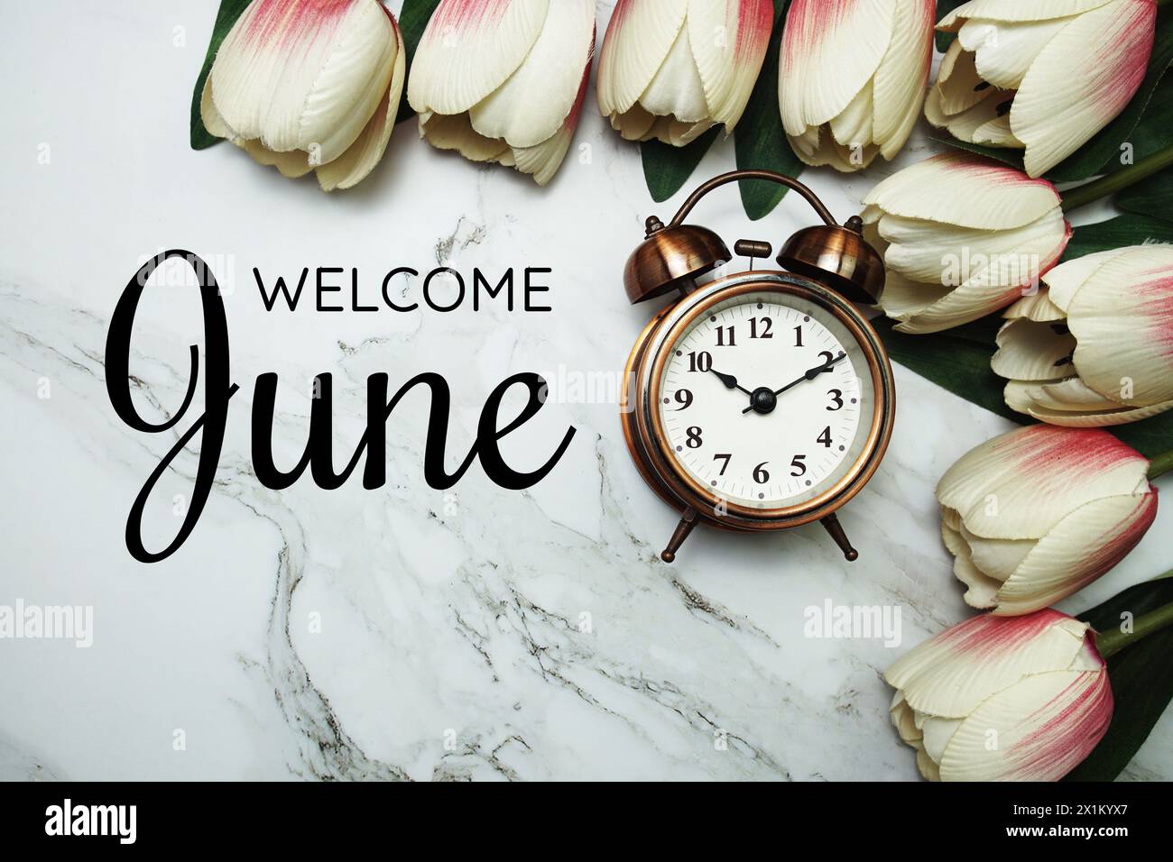 Welcome June text with alarm clock and tulip flower bouquet on marble ...