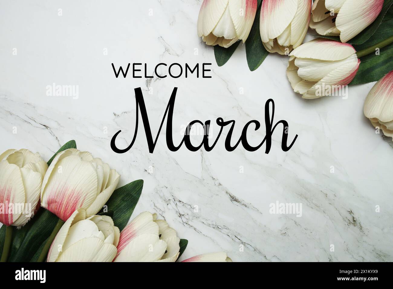 Welcome March text with Tulip flower border frame with space copy on ...