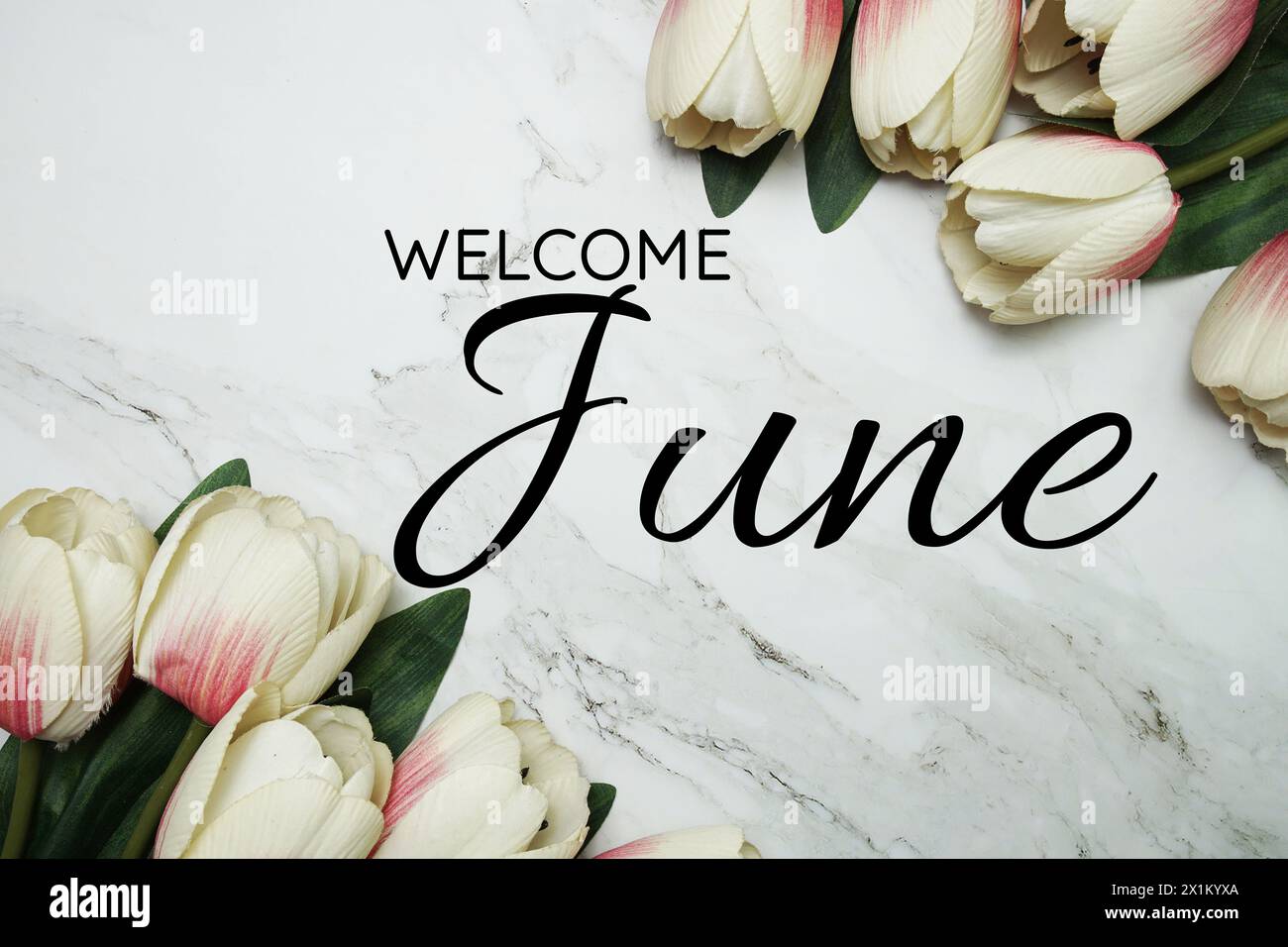Welcome June text with alarm clock and tulip flower bouquet on marble ...