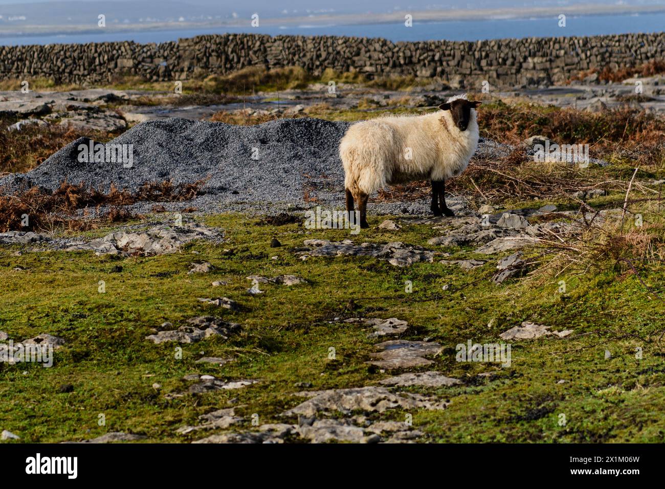 Inis Meain (Aran Island Stock Photo - Alamy
