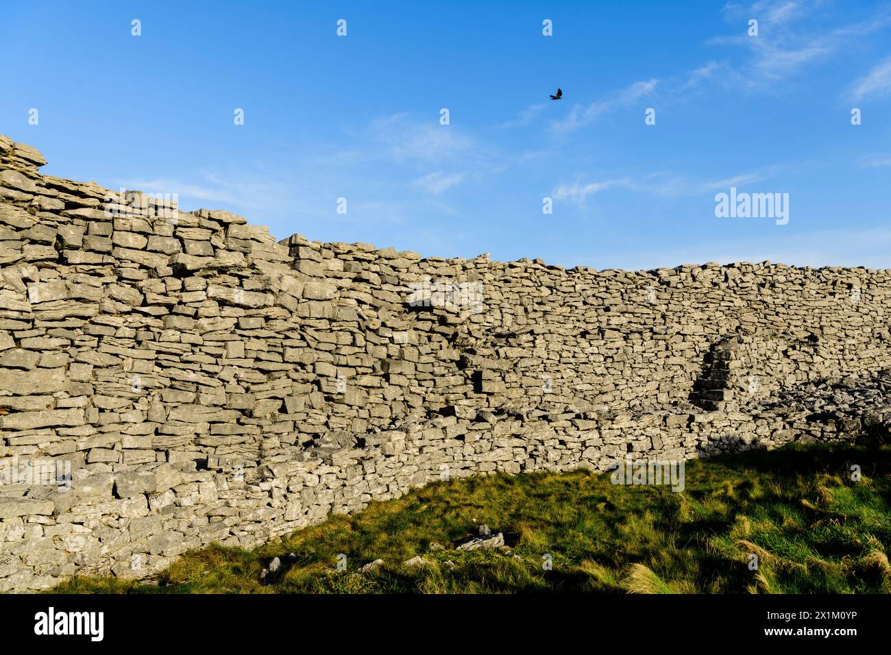 Cow island historical hi-res stock photography and images - Alamy