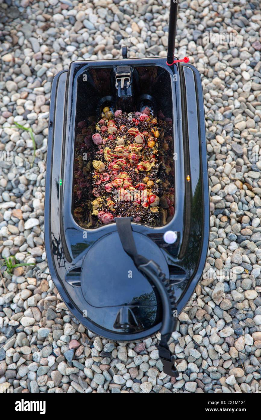 Carp in a boat hi-res stock photography and images - Alamy