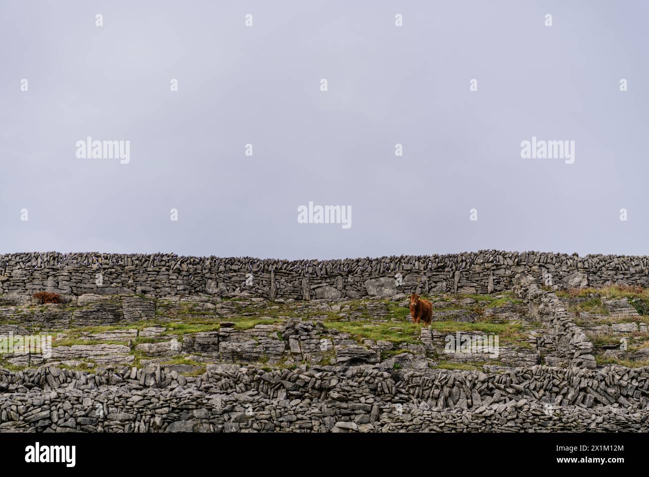 Inis Meain (Aran Island Stock Photo - Alamy