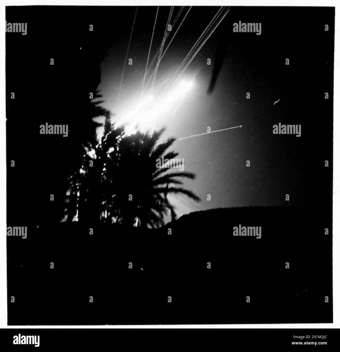 Pictures shells Black and White Stock Photos & Images - Alamy