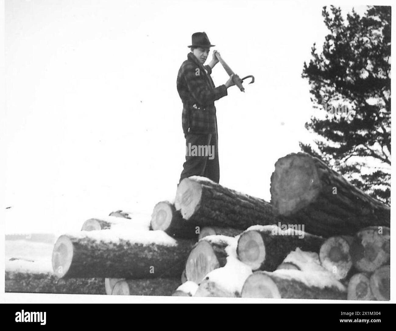 Tool uses Cut Out Stock Images & Pictures - Alamy