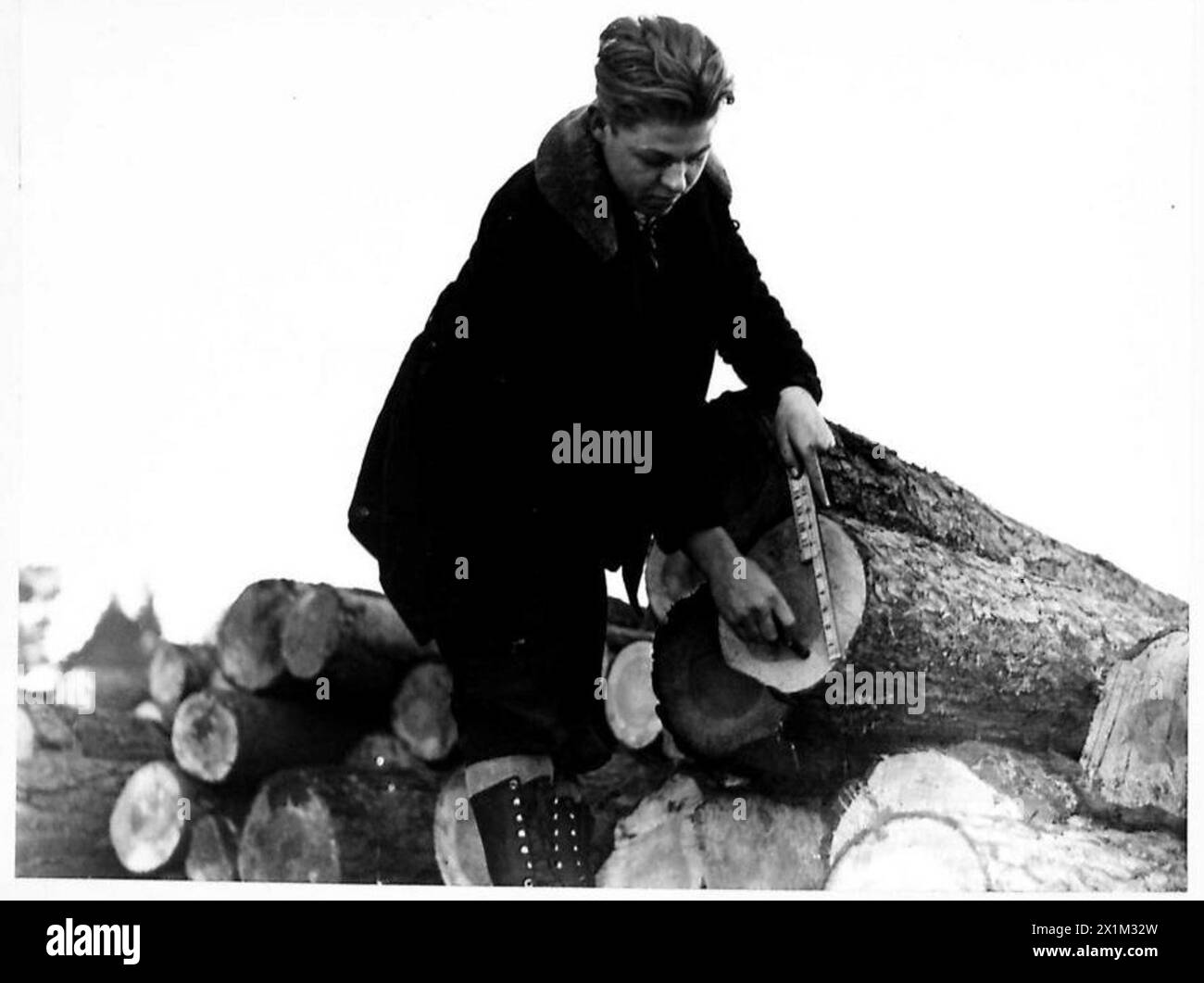 NEWFOUNDLAND "LOGGERS IN SCOTLAND AT CARBRIDGE - Measuring and marking ...