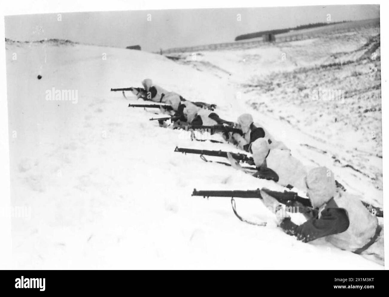 ROYAL MARINES HARDEN UP IN THE SNOW - These men are equipped with ...