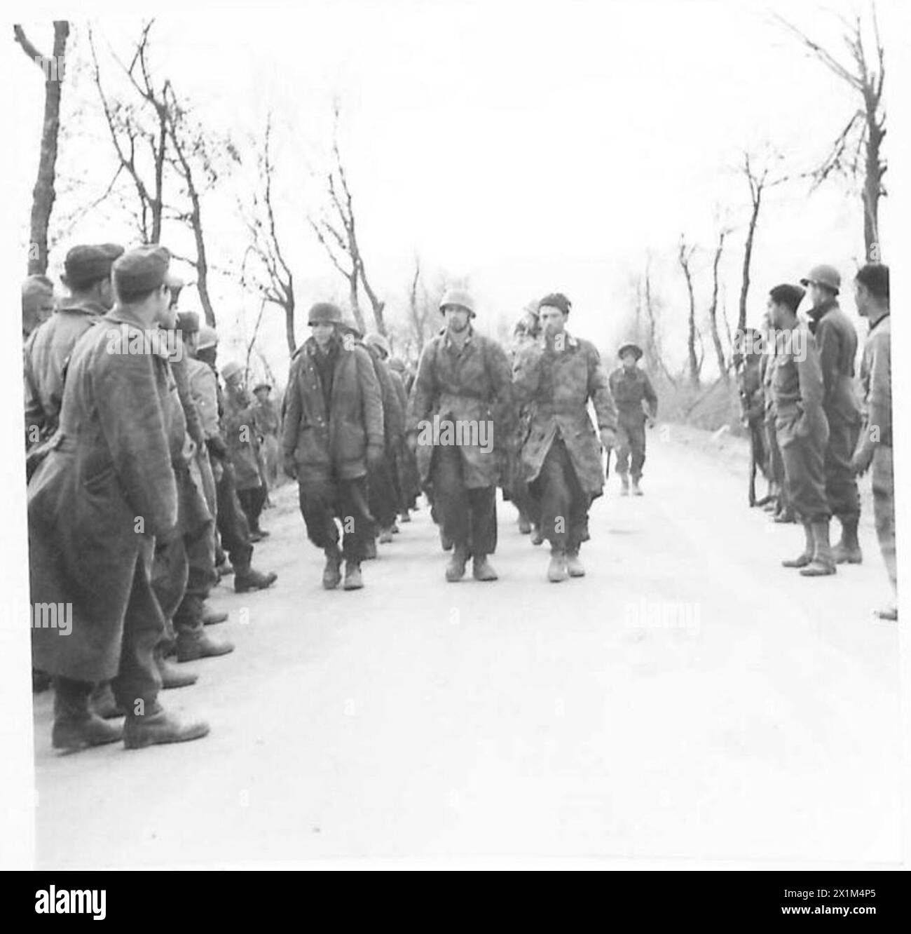 Fifth Army Cassino Frontparatroop Prisoners From Cassino A Further Batch Of Prisoners