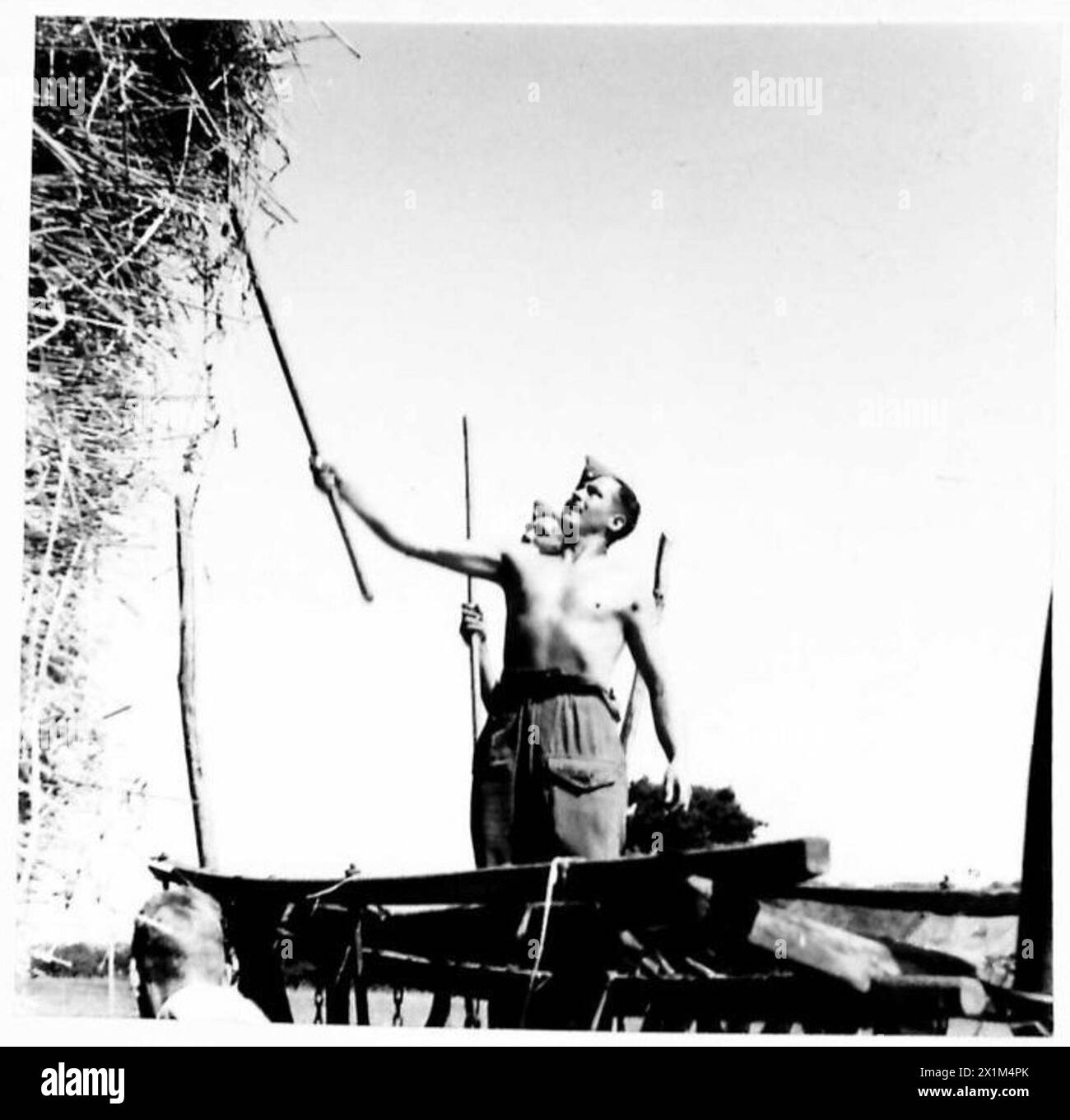SOLDIERS HELP WITH THE HARVESTING - Corn being stacked by a soldier ...