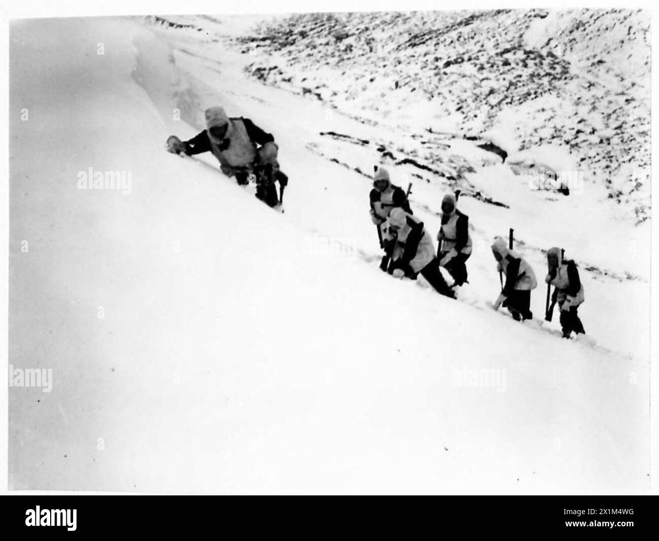 Royal marines in arctic Cut Out Stock Images & Pictures - Alamy